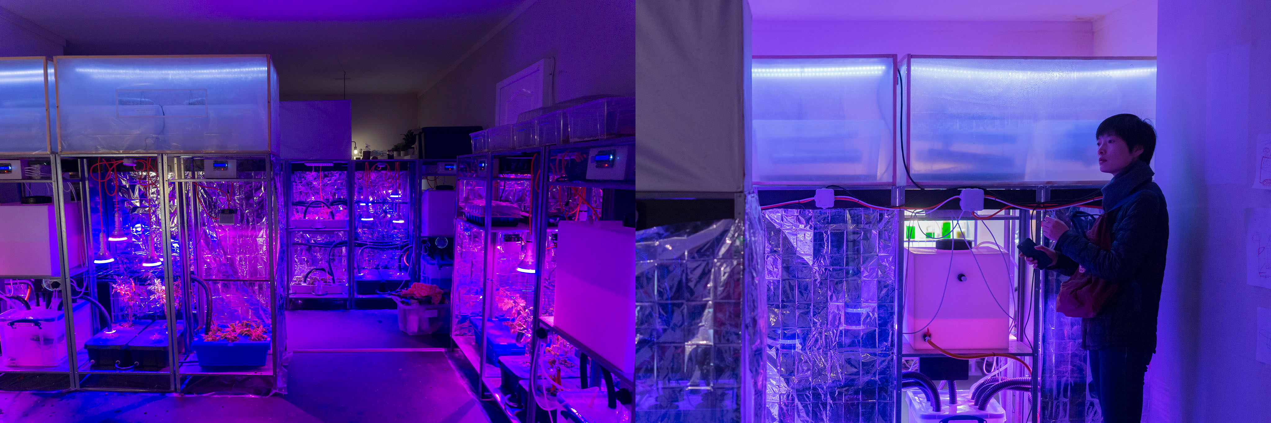 blogpost2019_03 - Superflux