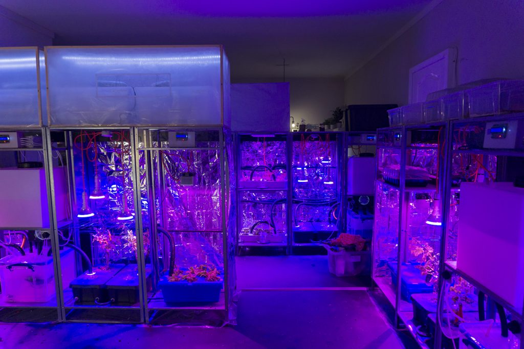 Projects — Superflux