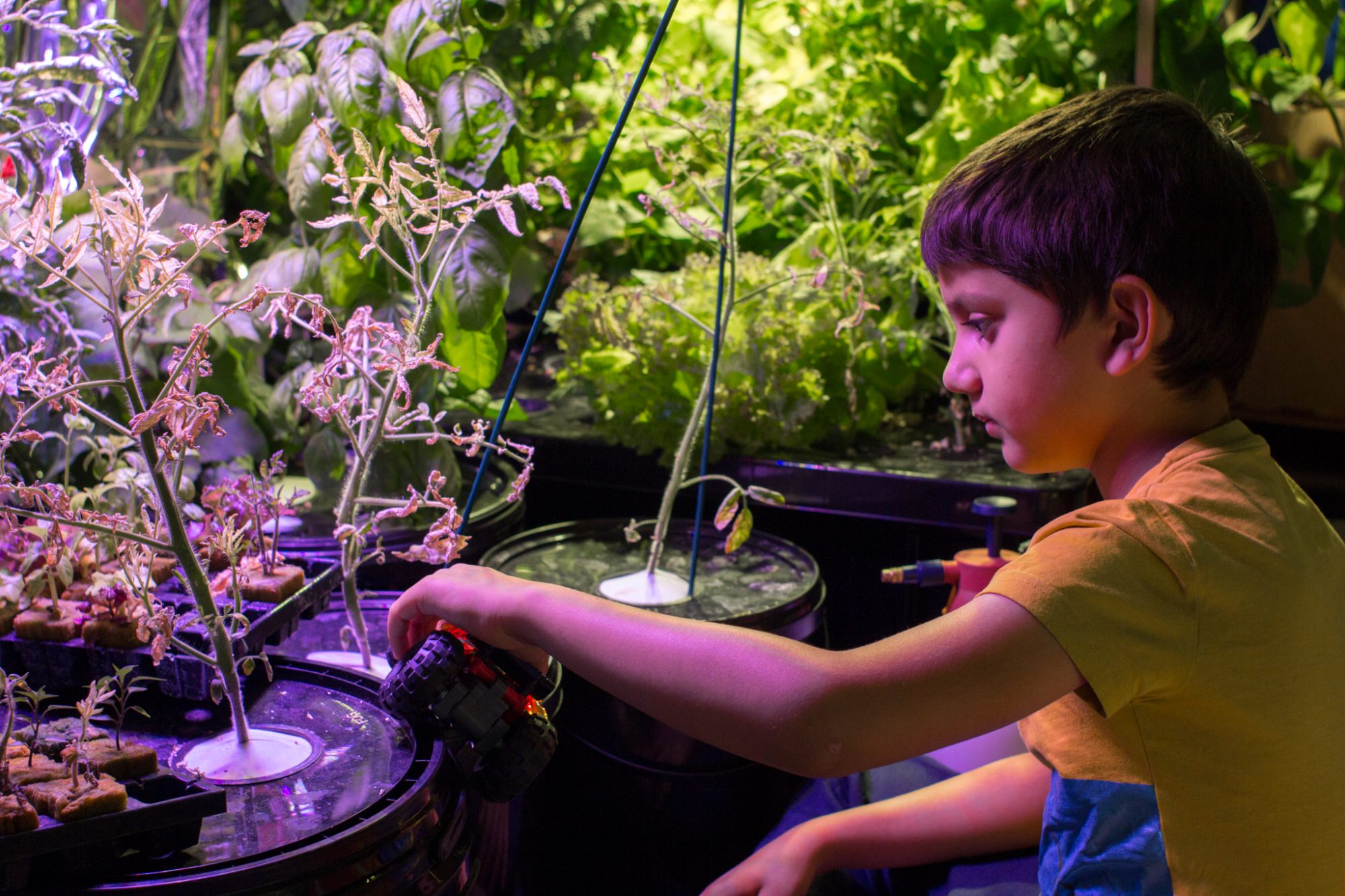 Experiments in Indoor Farming - Superflux
