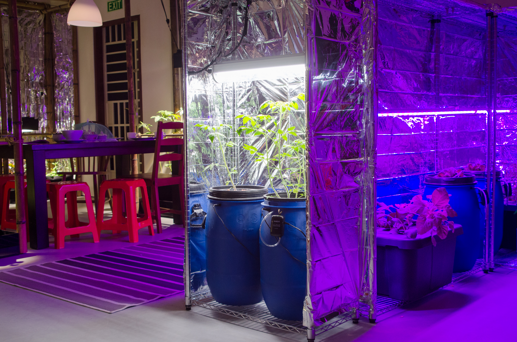 Experiments in Indoor Farming - Superflux
