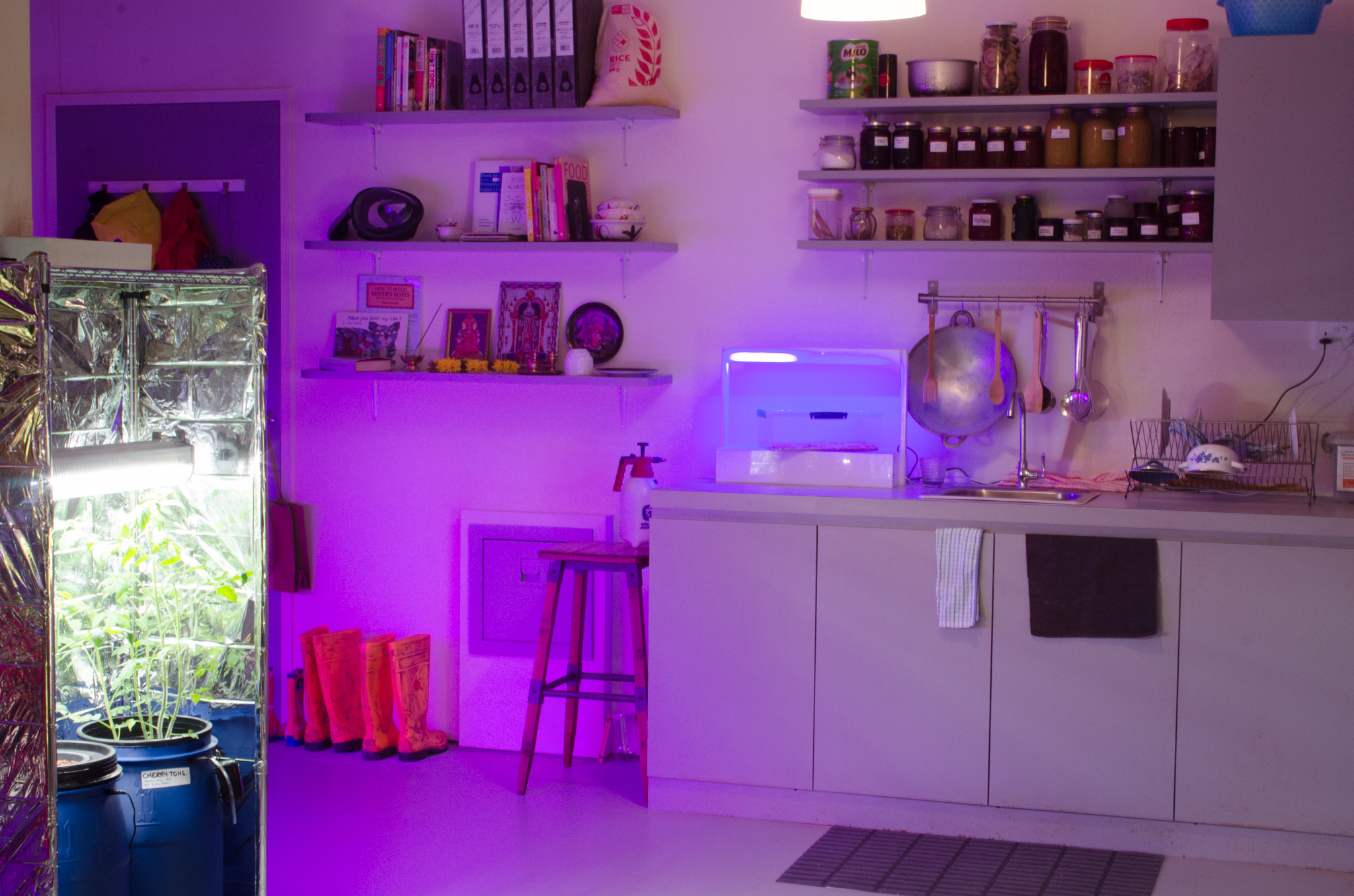 LFischler-2884 - Superflux