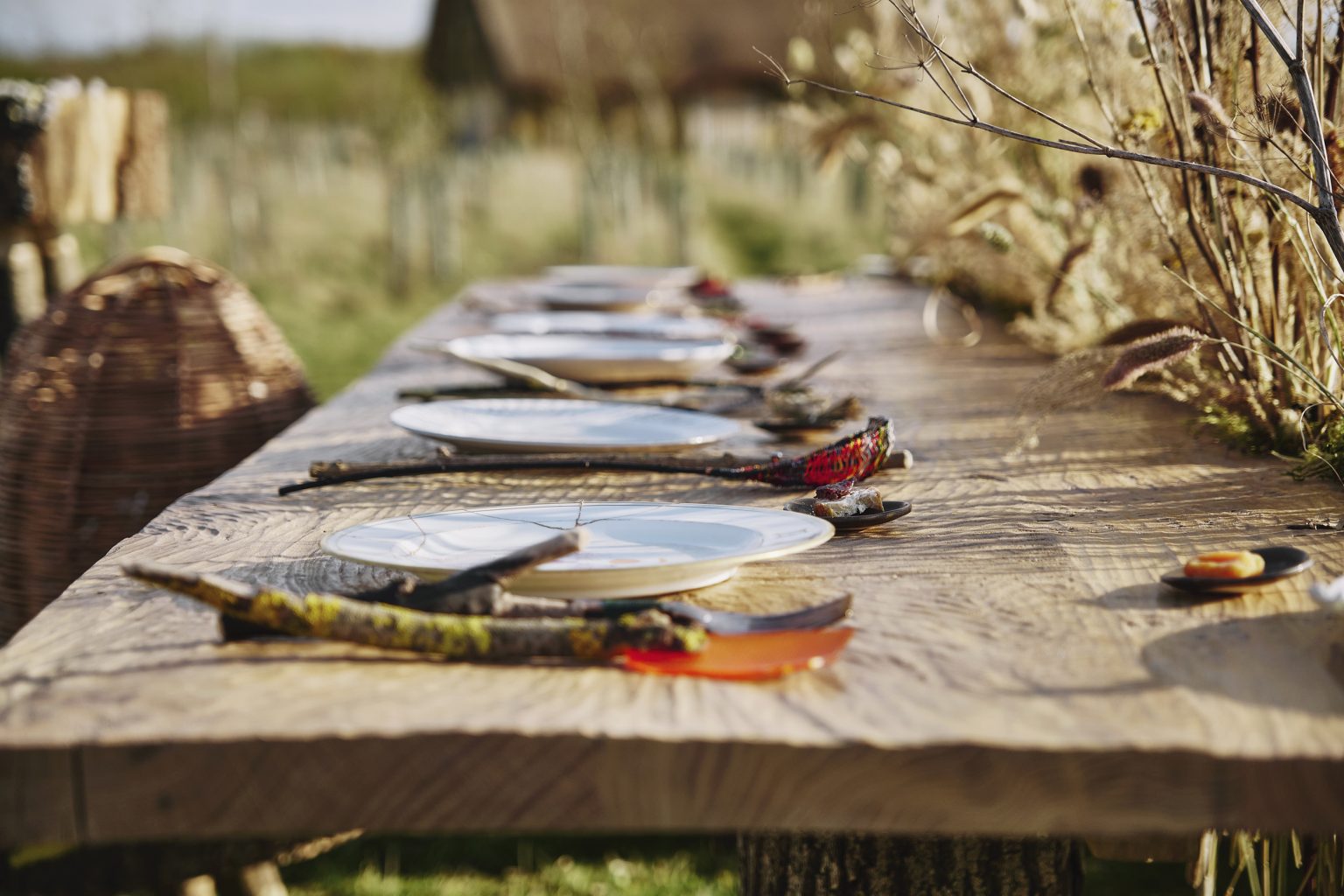 Refuge for Resurgence - Superflux