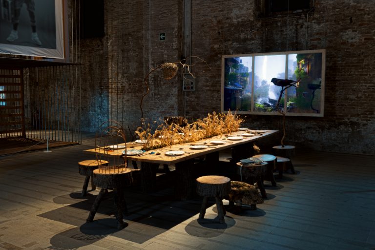 Refuge for Resurgence - Superflux