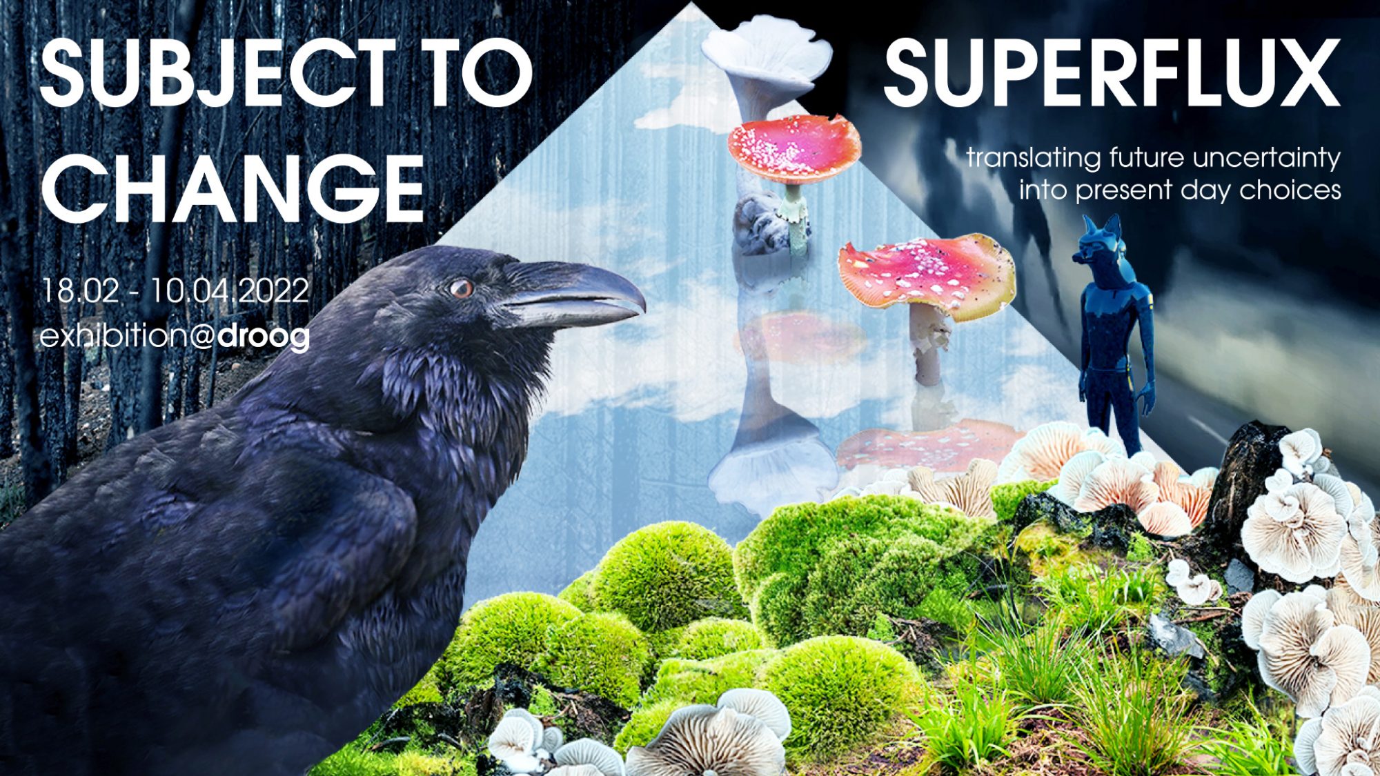 Superflux - Translating Future Uncertainty into Present Day Choices.