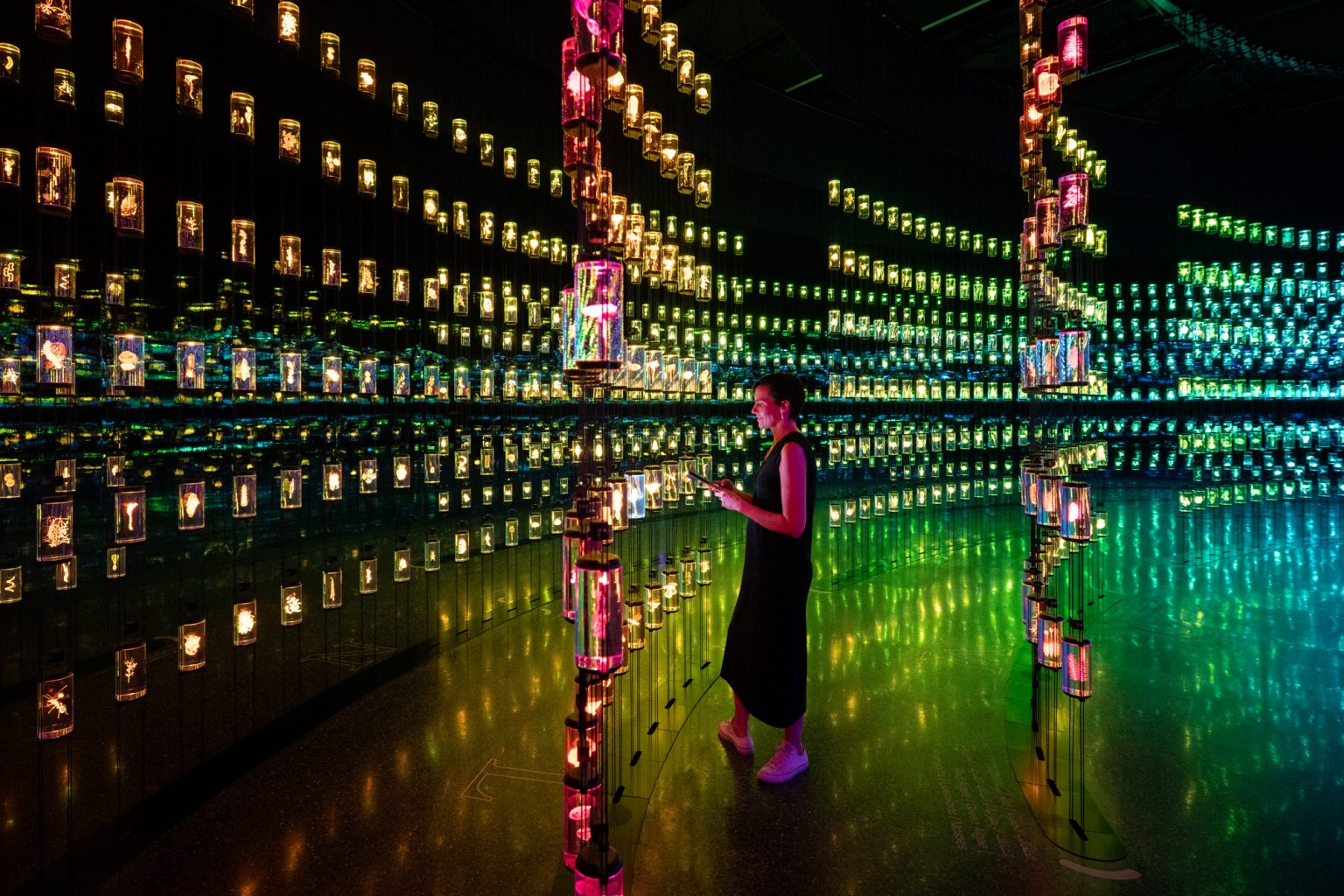 Superflux's new immersive installation opens at Museum of the Future ...