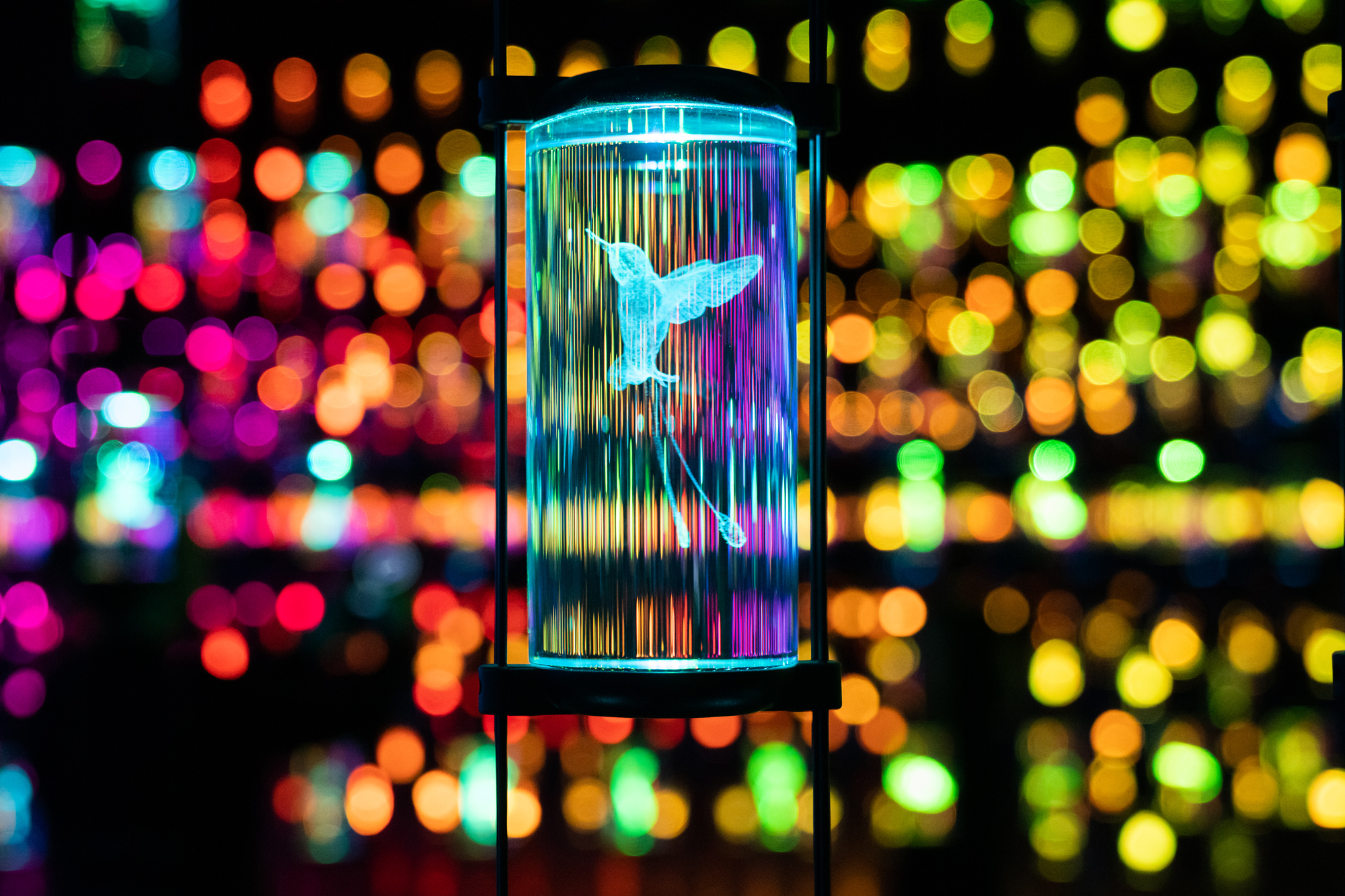 Superflux's new immersive installation opens at Museum of the Future ...