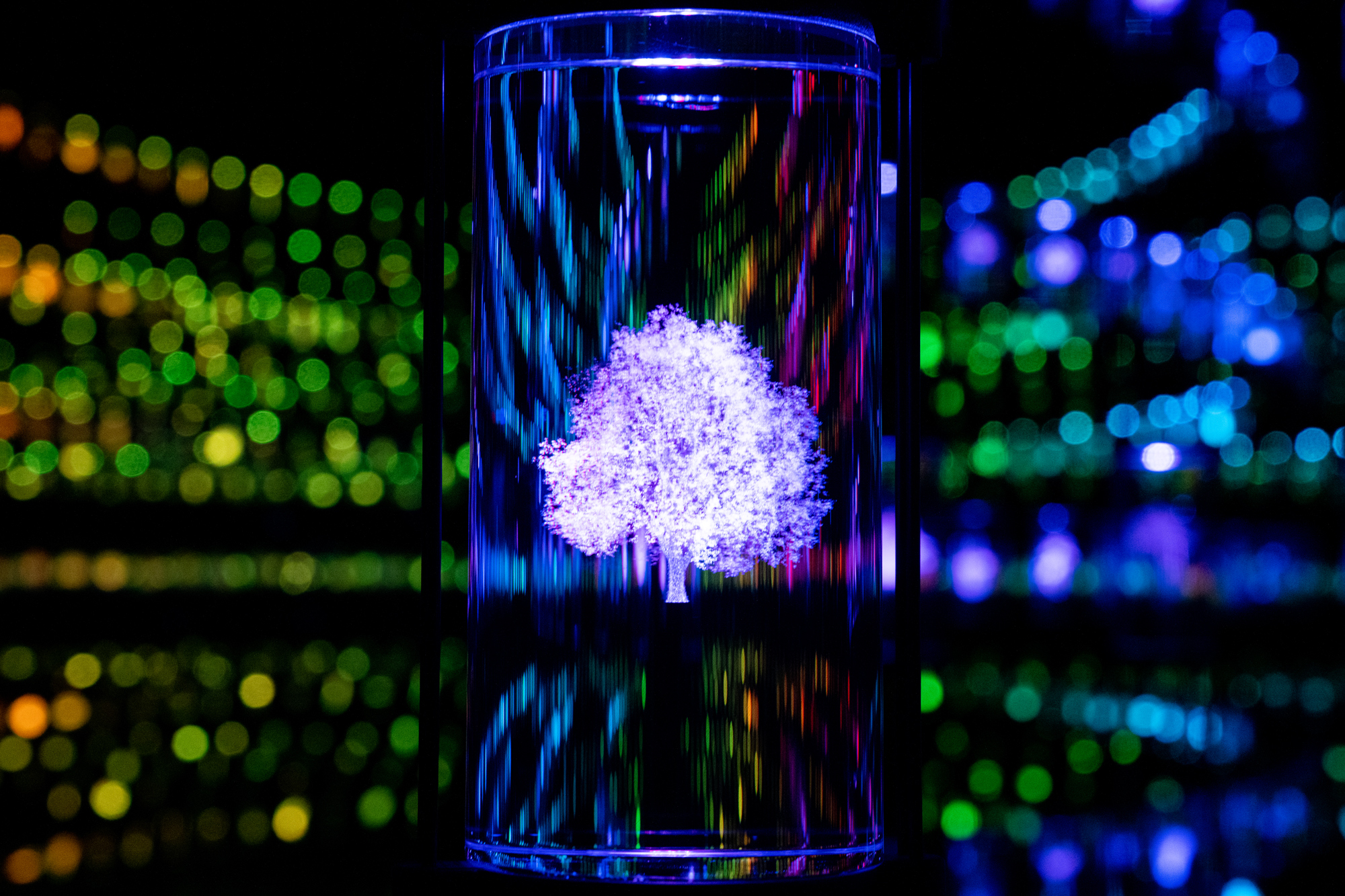 Superflux's new immersive installation opens at Museum of the Future ...