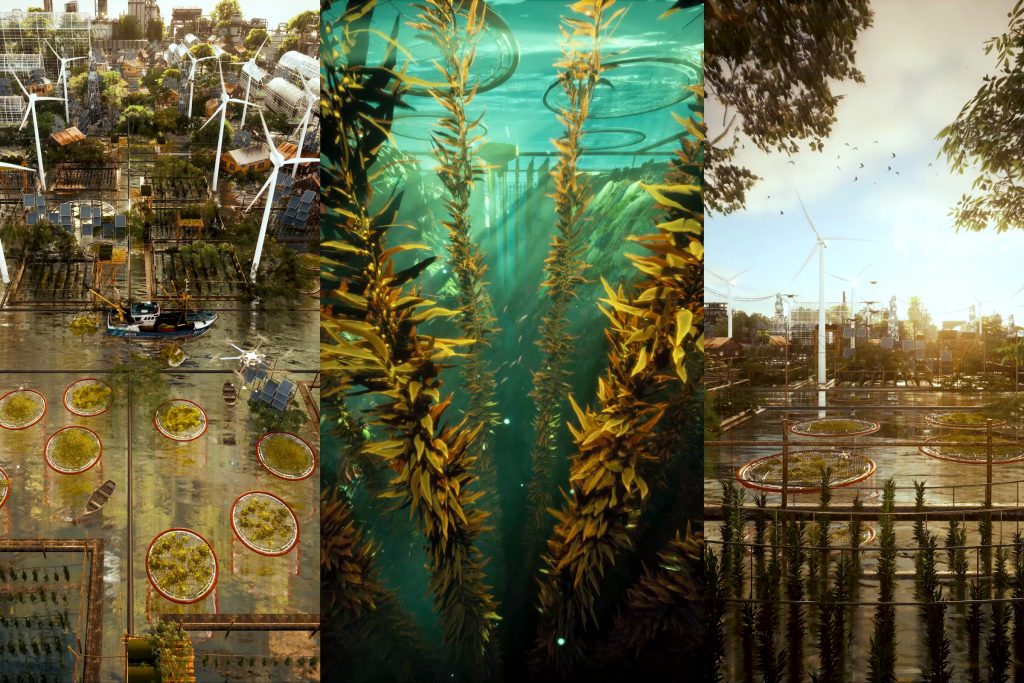 SAFE: A Collection of Works Exploring Safer Futures - Superflux